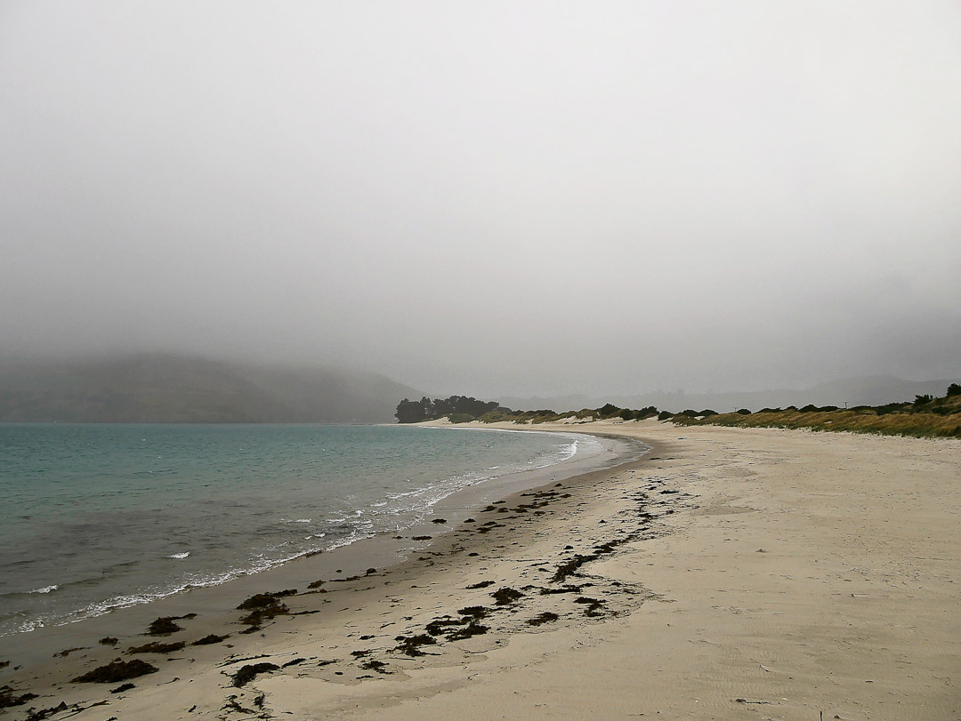 Otago’s Aramoana Ecological Area – The Spit and Pilot’s Houses ...