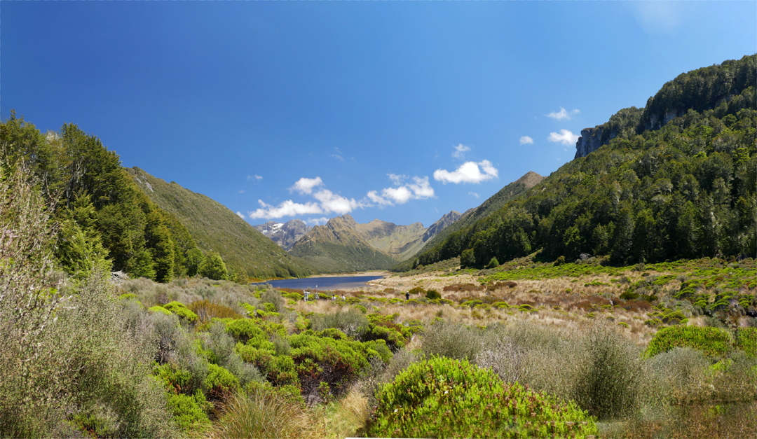 Southern LightAn ecology initiative featuring nature’s wonders ...